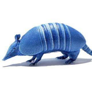 Armadillo Field Testing Team Github