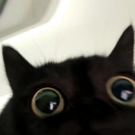 Karin0018 Roey Github