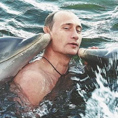 Saint2706 Saint Github