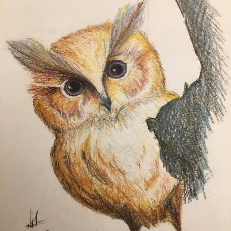 Github Nchchow Color Game - Elegant Desktop Landscape Images | Free Download