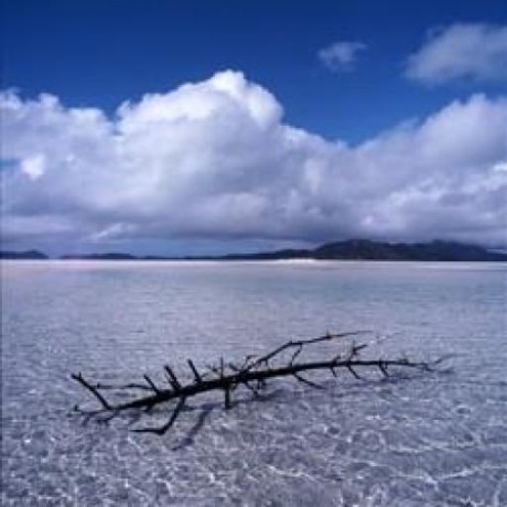 Github Daviddrysdale Python Phonenumbers Python Port Of Google S