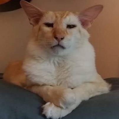 Mattivboiii Matti Github - Download Premium Ocean Wallpaper | Full HD