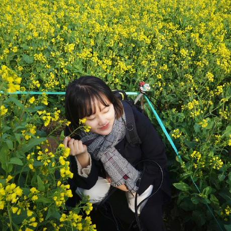 Rinrin529 Yerin Ma Github