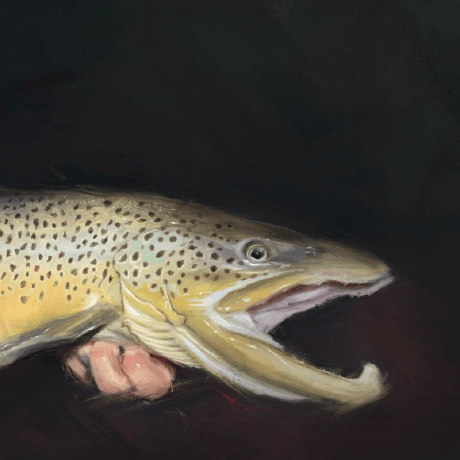 Cclint Clint Campbell Github