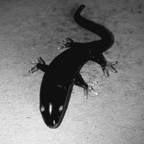 Bckopel Ben Kopel Github - Ocean Image Collection - Full HD Quality