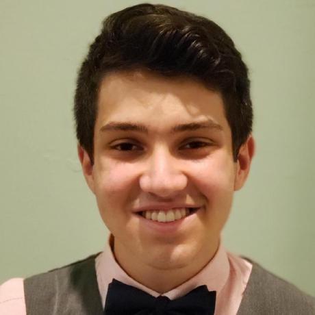 Limeliam Liam Borg Github