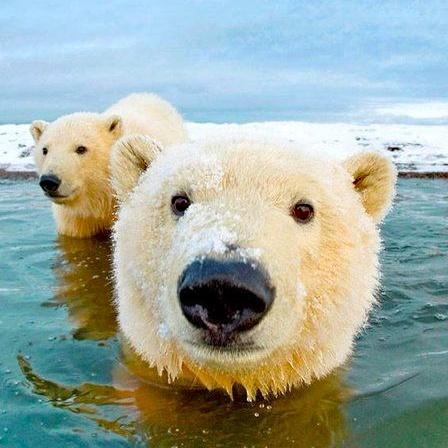 John A Jackson John Jackson Github