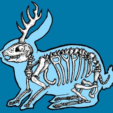 Jensenna Noah Jensen Github