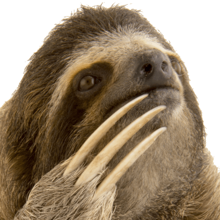 Landonjw Landon Github