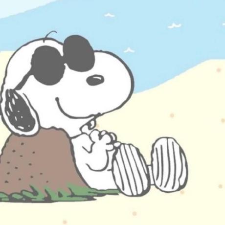 Snoopy 509 Github