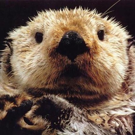 Github Dmtf Redfishtool A Python34 Program That Implements A Command - Retina Mountain Textures for Desktop