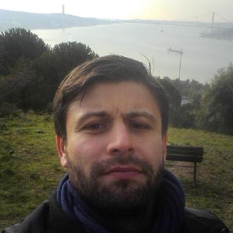 Altaybrusan Altay Github