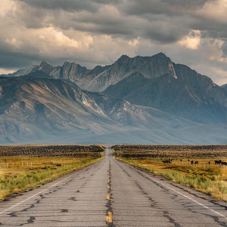 Gszfwsb Shaobo Steven Wang Github