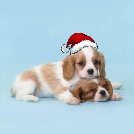 Github Floatlig Datastructure - Nature Images - Amazing 8K Collection