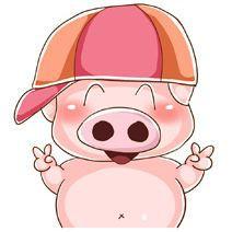 Nicexiaocao Xiaocao Github