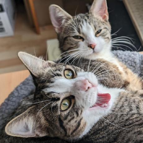 Visual Crafting Minecraft Plugin