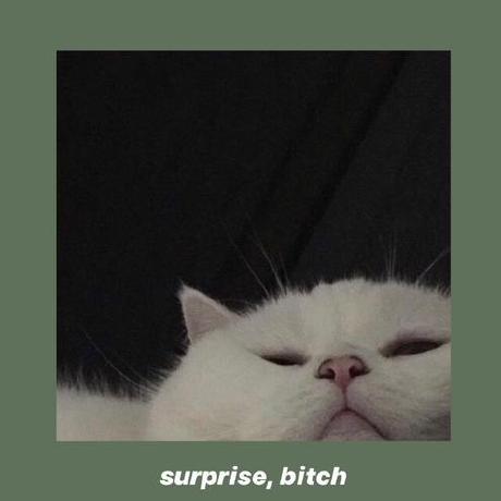 Anisa Nurjanah Anisa Nurjanah Github