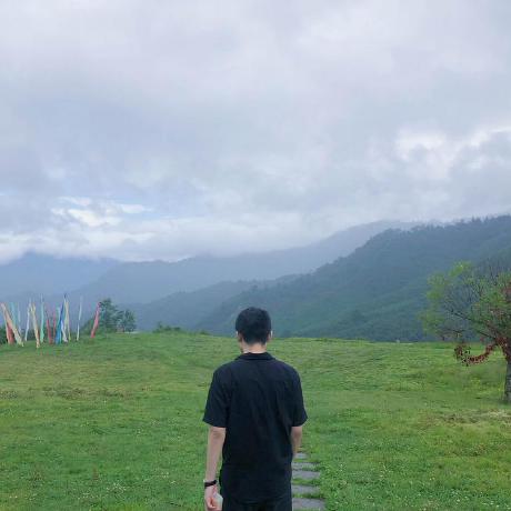 Liheyoung Lihe Yang Github