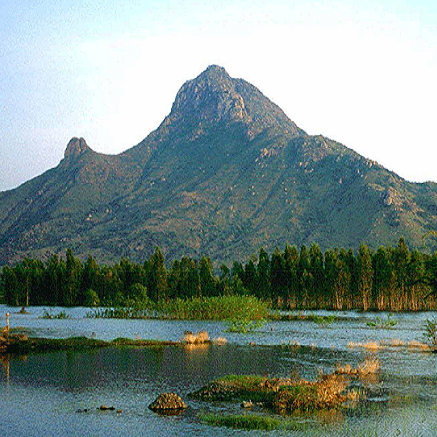 Nbicocchi Nicola Bicocchi Github