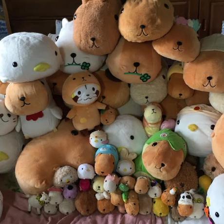 Kapibara99 Kapy Github - Dark Photo Collection - Mobile Quality