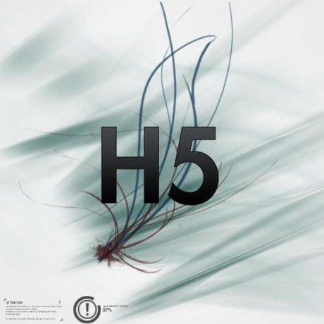 Danielhighfive Daniel Gauer Github