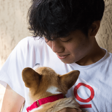 Kevinchan Qashier Github - Best City Pictures in Ultra HD