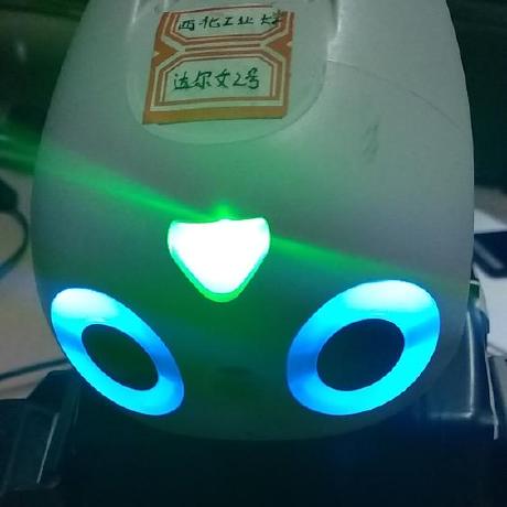 Npu Humanoid Vision Github