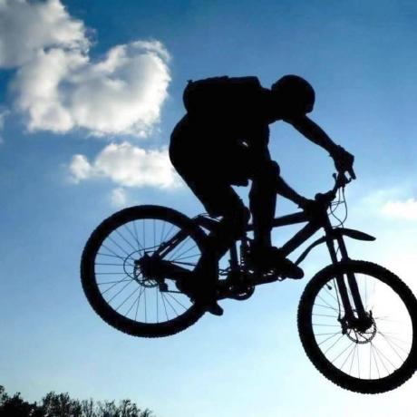 Shrimpshell777 Jayden Github