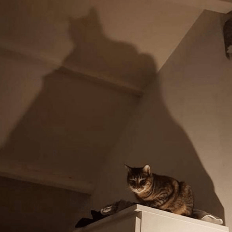 Yugalrajput Github - HD Vintage Wallpapers for Desktop