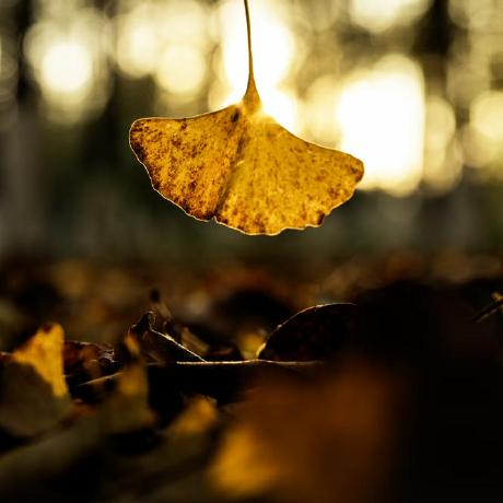 Github Maxtory2001 Hierarchical Triple Scripts C And Python Scripts - HD Ocean Images for Desktop