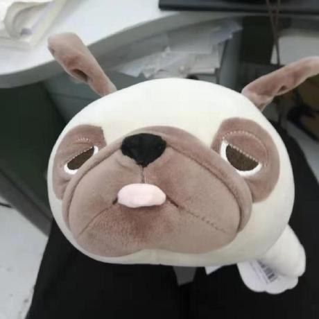 Richardlio Lichen Liu Github