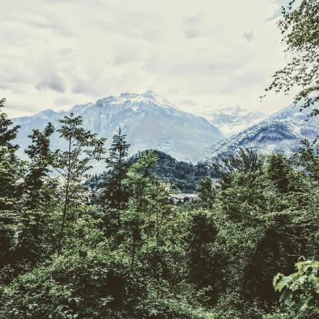 Morgan Mclellan Github