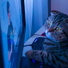 Nbarannik Nikita Github