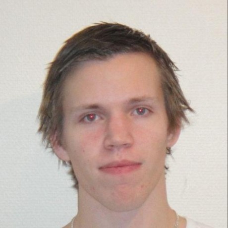 Christian Public Christian Vårvik Github