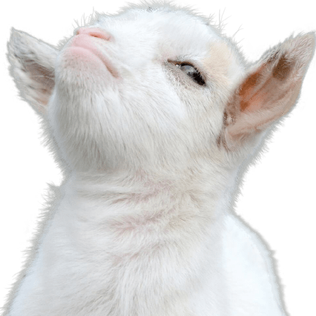 Mickeysoftware Mickey Github