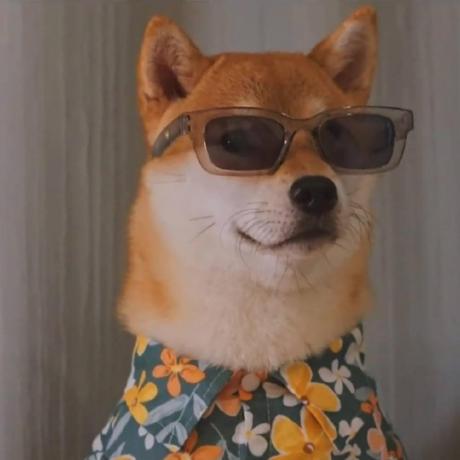 Liam Coding Liam Github