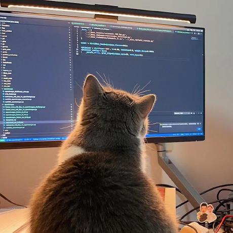 Bigwangyudong Bigdong Github