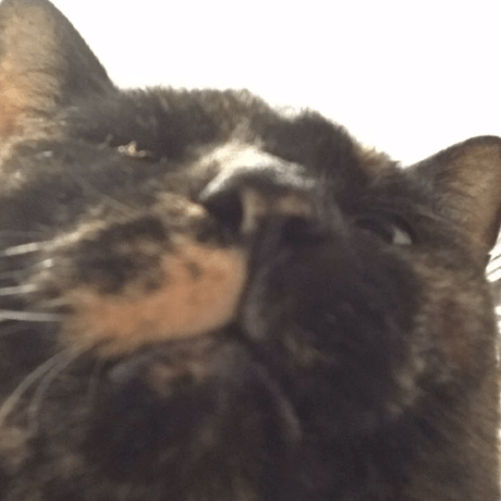 Nick Lowe Nick Github - Download Premium Sunset Picture | High Resolution