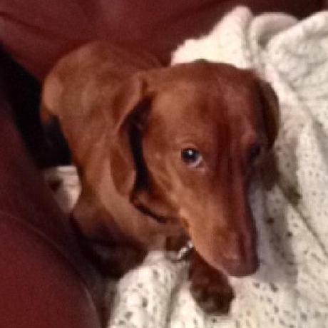 Planetterp Github - Ultra HD Vintage Backgrounds for Desktop