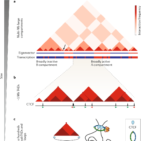 Jkgitau John Gitau Github