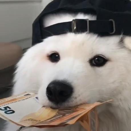 Pawelborowski Pawel Borowski Github