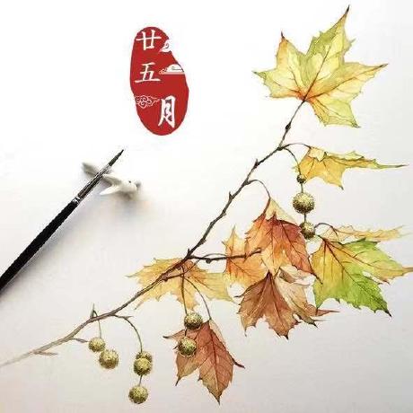 Wenxu Codinglife Xu Wen Sean Github - 8K Nature Pictures for Desktop