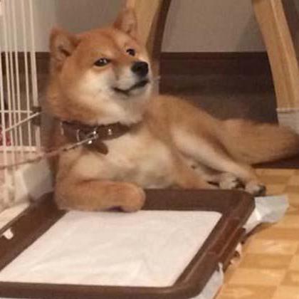 Easonlin0716 Eason Lin Github