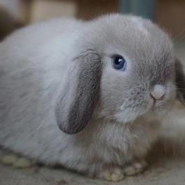 Night S Watch Github - Download High Quality Vintage Art | Full HD