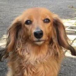 Sotanakamura Sota Nakamura Github