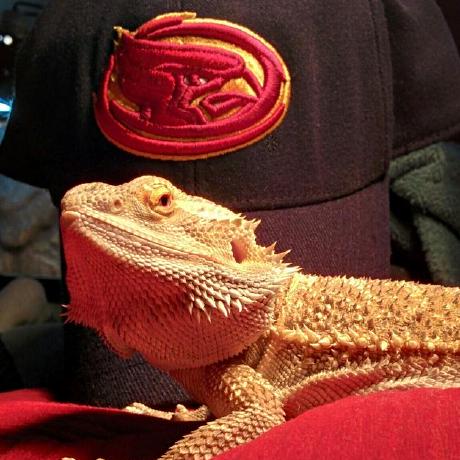 Kristinclemens Kristin Clemens Github