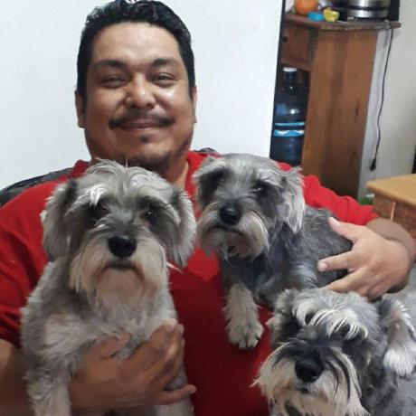 Jorge Raya Jorge Raya Github