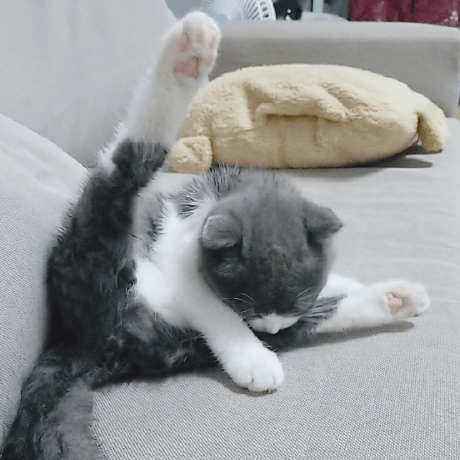 Baron Ming Baronming Github