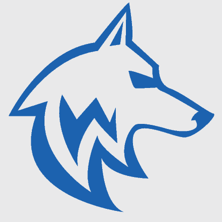 Romainmsrd Romain Mussard Github