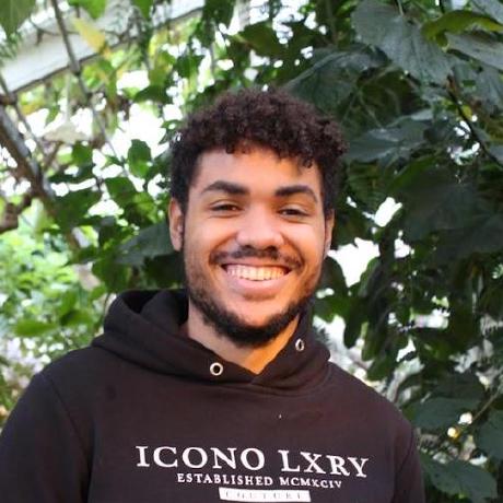 Lionsander Lion Sander Github